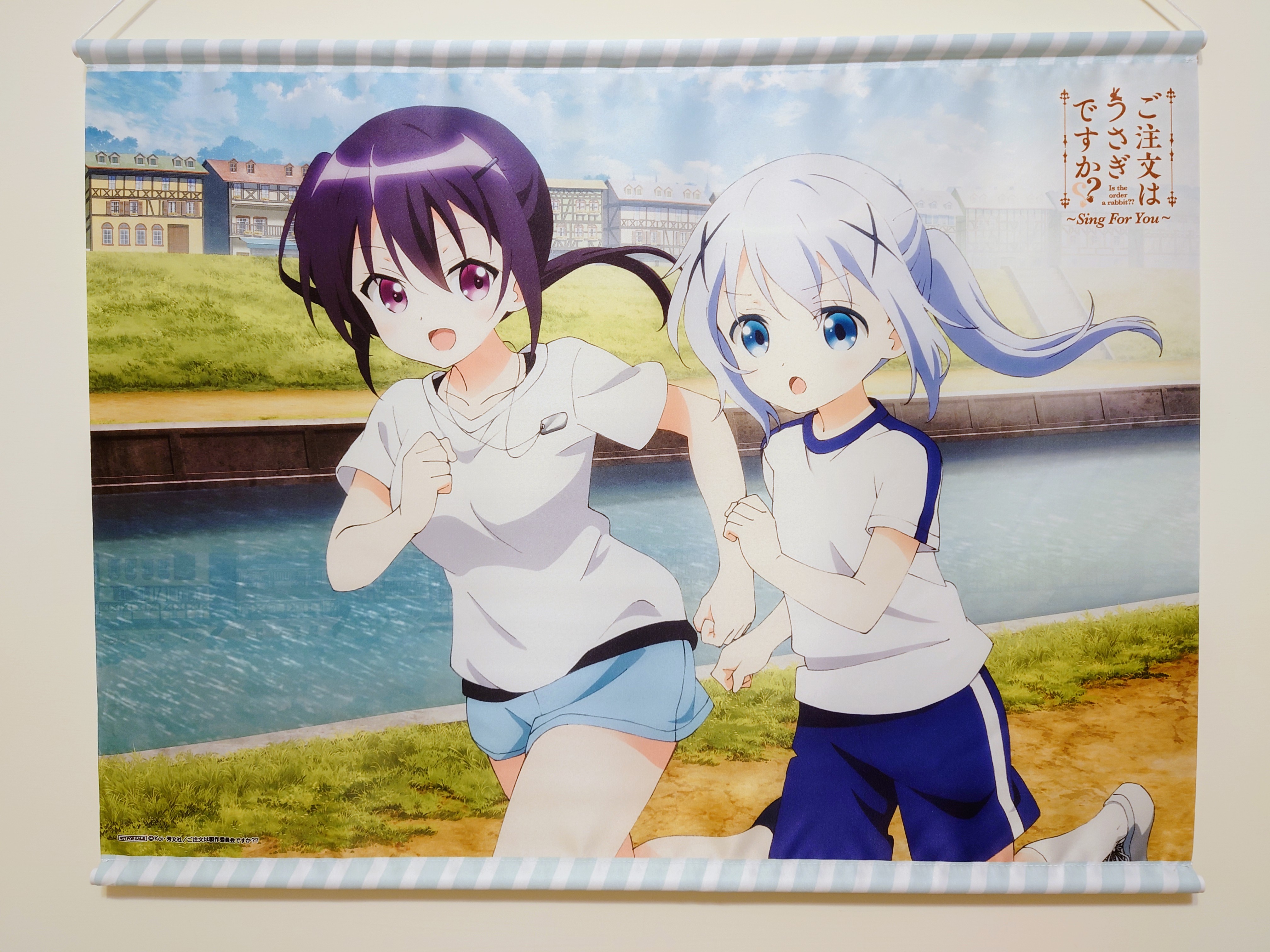 【點兔】日版 B2掛軸 Sofmap特典 Sing For You 運動服 請問您今天要來點兔子嗎 智乃 理世 周邊 | 蝦皮購物