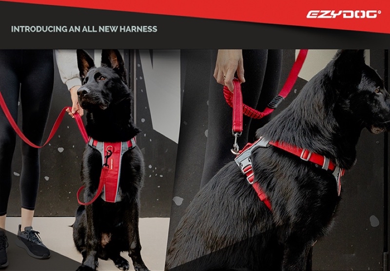 【澳洲EzyDog 】 X減壓胸背帶贈頂峰牽繩 h型胸背帶 防暴衝胸背帶 前D環易控制 工型防爆衝胸背帶 預防掙脫 | 蝦皮購物