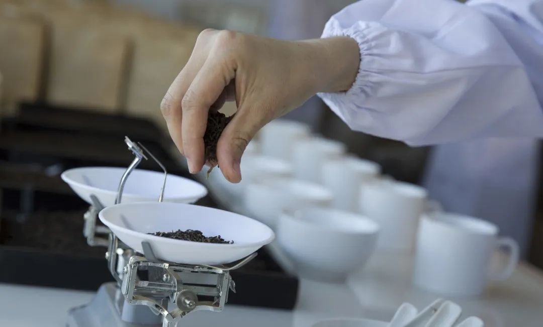 大益普洱生茶 357g/7542 2001 80週年紀念版「茶有大益」 | 蝦皮購物