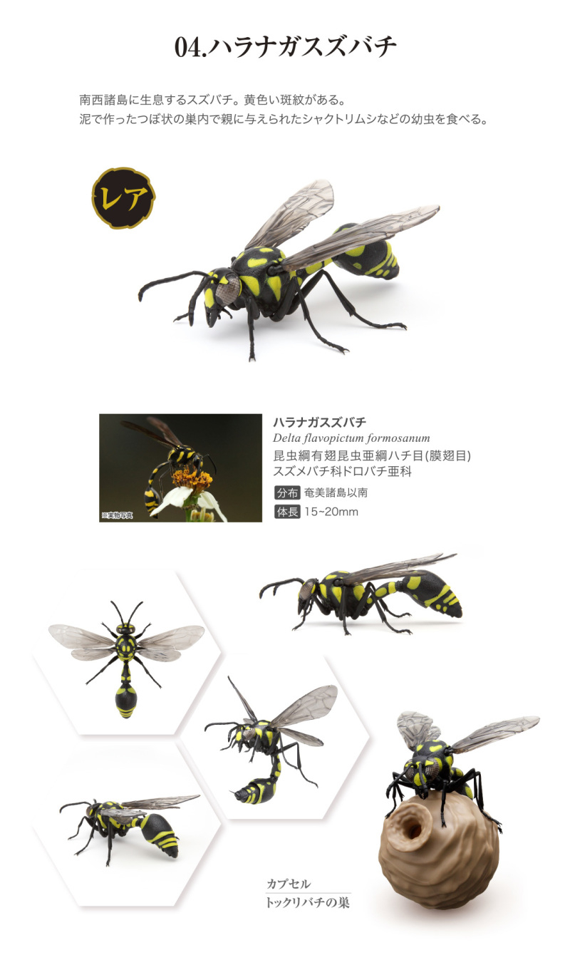 「VIC TOY」現貨 BANDAI 環保扭蛋 生物大圖鑑 德利蜂 全四種 拆外膜確認款 | 蝦皮購物