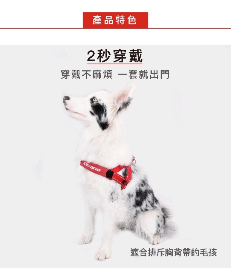 【澳洲EzyDog】快套式 胸背帶 XXS~XL 2秒穿帶 不卡腋下 舒適透氣 羽量設計 舒適內襯 夜間安全 | 蝦皮購物