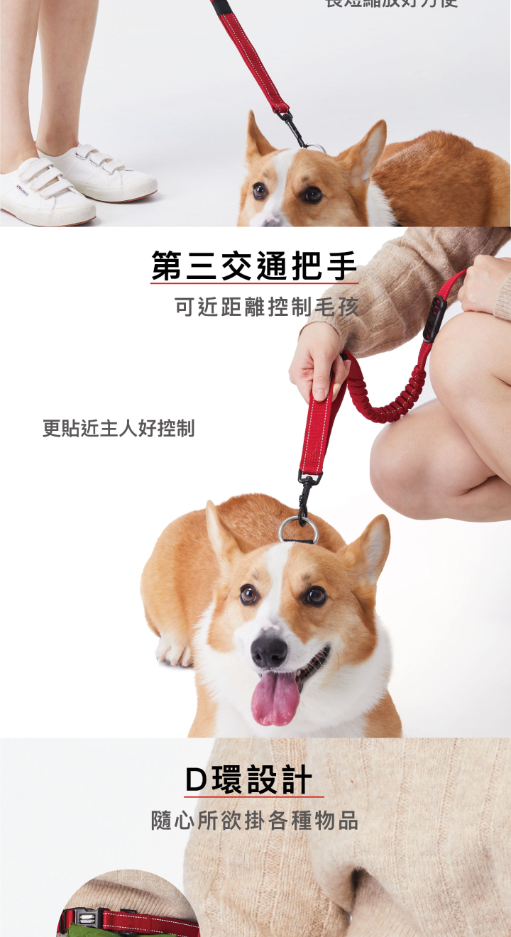 澳洲 EZYDOG 跑步牽繩 210cm 寵物牽繩 免手牽 反光牽繩 減緩拉力 貓狗適用 狗牽繩 貓牽繩【寵物主義】 | 蝦皮購物