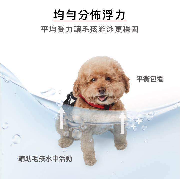 【myne寵好選物】澳洲EZYDOG浮水衣第一代迷你型浮水衣均勻分佈浮力可勾牽繩貓狗適用 | 蝦皮購物