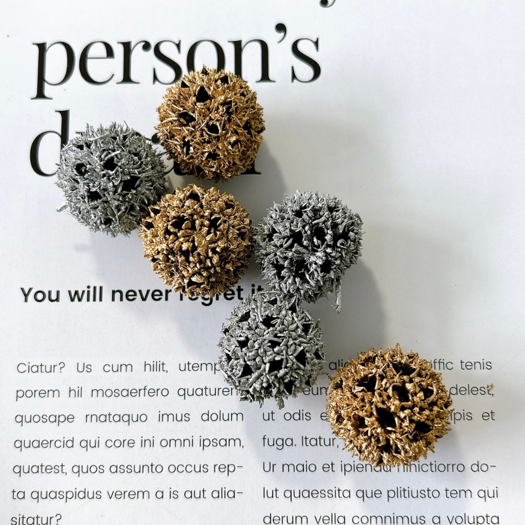 路路通 楓樹果 楓香果 乾燥果實 ☆ VITO zakka ☆ 花材 拍攝道具 DIY創作 手做材料 果實 花圈材料 | 蝦皮購物