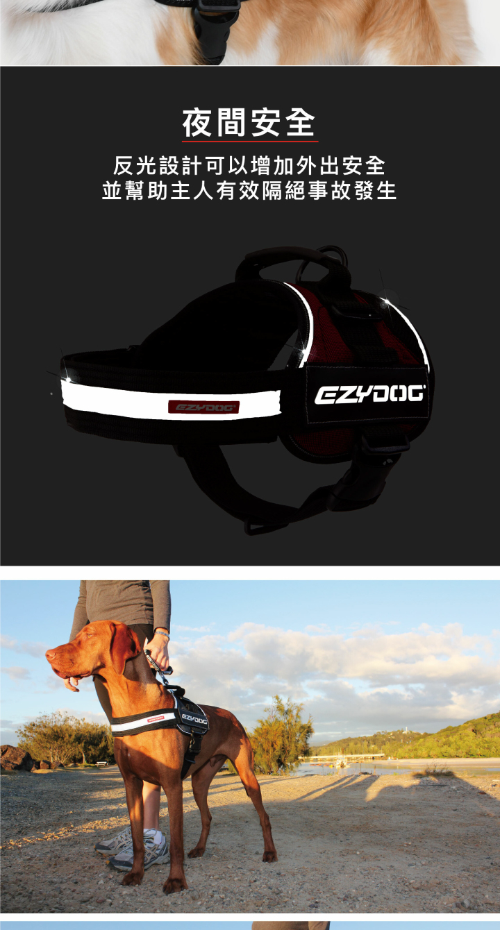 澳洲 EZYDOG 終極胸背帶 寵物胸背帶 胸背帶 反光設計 全尺寸 狗胸背 寵物外出【寵物主義】 | 蝦皮購物