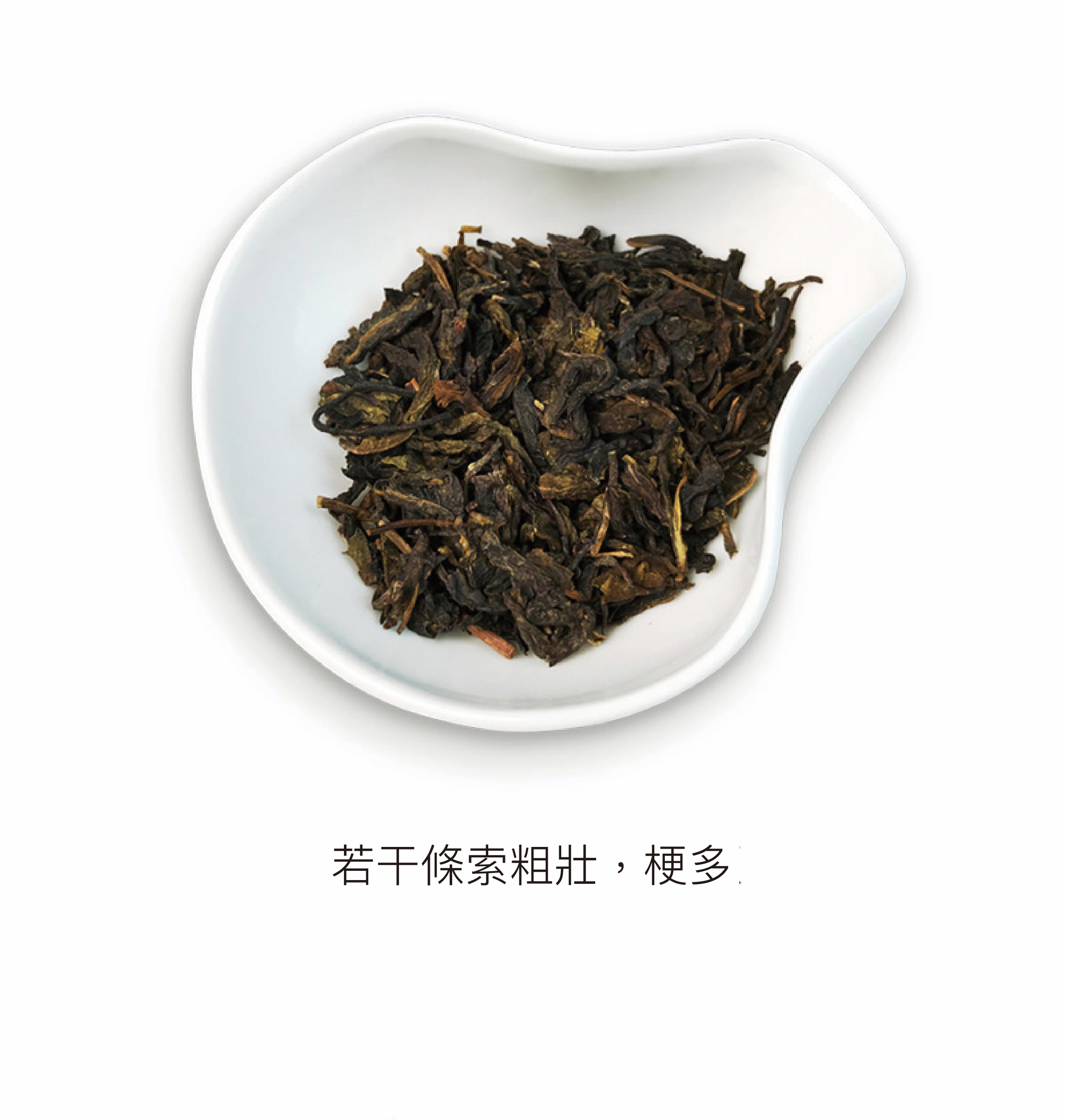 大益普洱生茶 357g/8582數字茶 1901「茶有大益」 | 蝦皮購物