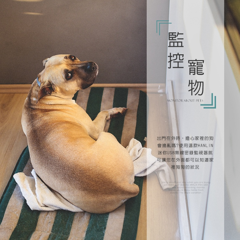 HANLIN-UCAM 迷你USB無線密錄監視器 針孔攝影機遠Wifi遠端蒐證 生存遊戲 140度廣角行車紀錄影音同步 | 蝦皮購物