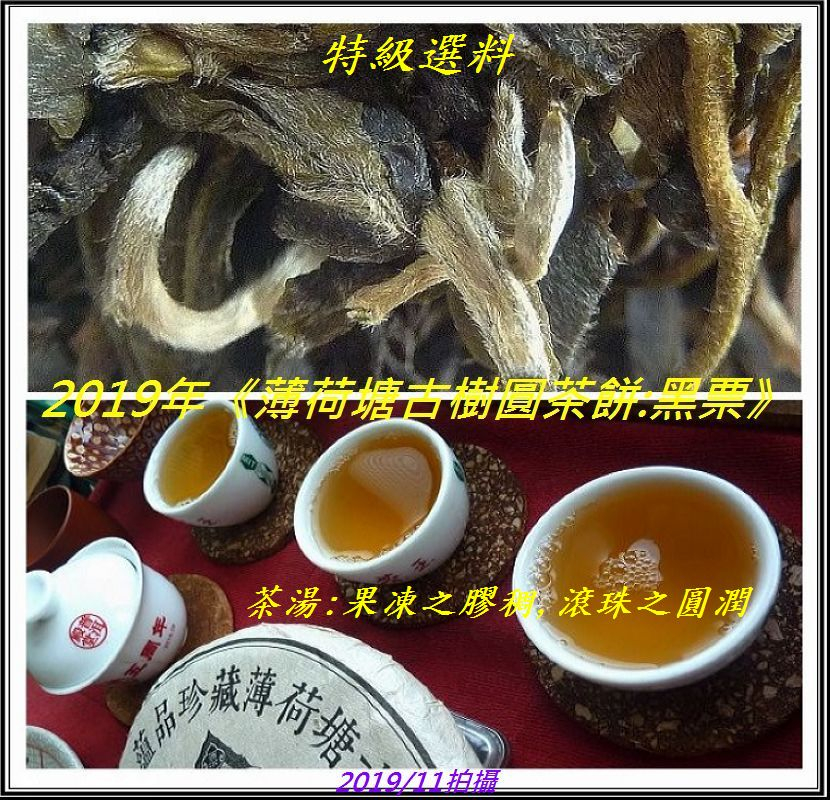 滿天星茶油【佛心價】2019年《黑票薄荷塘》357g【300年古樹,2023年超越老班章】 | 蝦皮購物