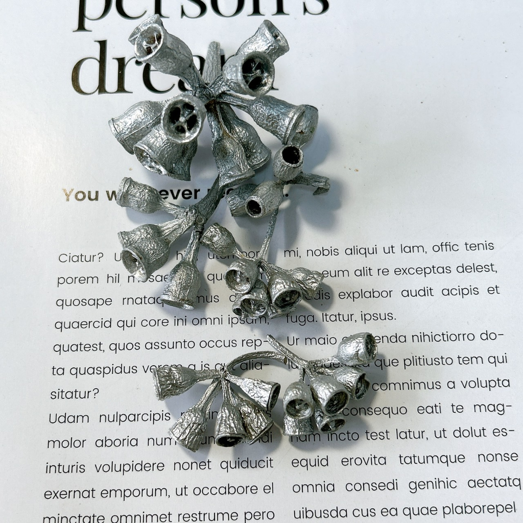 殭屍果 琥珀果 桉樹果 乾燥果實 ☆ VITO zakka ☆ 乾燥花 乾燥花材 拍攝道具 DIY 花藝材料包 果實 | 蝦皮購物