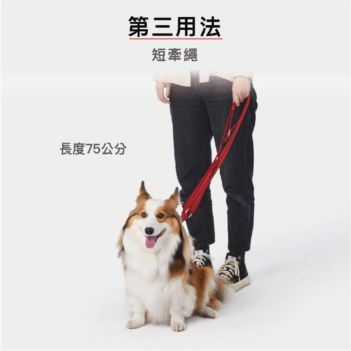 【myne寵好選物】澳洲EZYDOG法力歐4多功能牽繩185cm長短調整簡易上手狗用 | 蝦皮購物