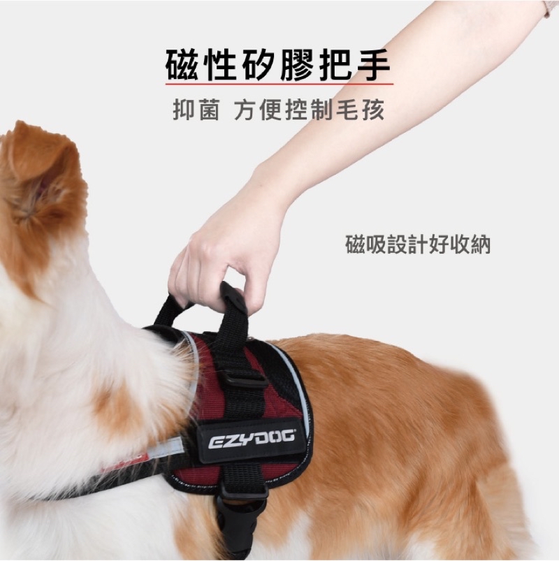 【澳洲EzyDog】終極胸背帶XXS~XXL 環狀服貼 可掛馬鞍背包(專屬側貼須另外加購) | 蝦皮購物