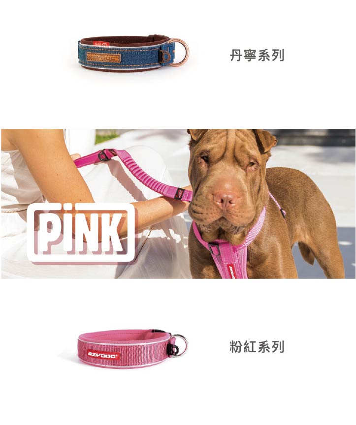 【澳洲EzyDog】尼歐項圈XS-XL 7色 耐髒防臭 適合玩水 狗項圈 犬項圈 柔軟佳績布內襯 寵物外出專用 | 蝦皮購物