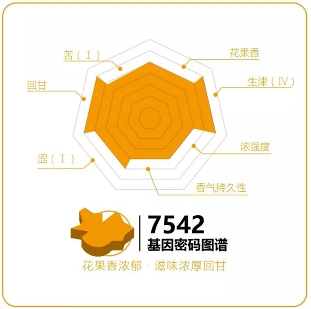 大益普洱生茶 150g/7542 1201「茶有大益」 | 蝦皮購物