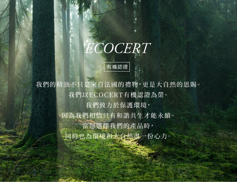 輝葉良品 原始森林/有機複方精油HYG-BE004 | 蝦皮購物