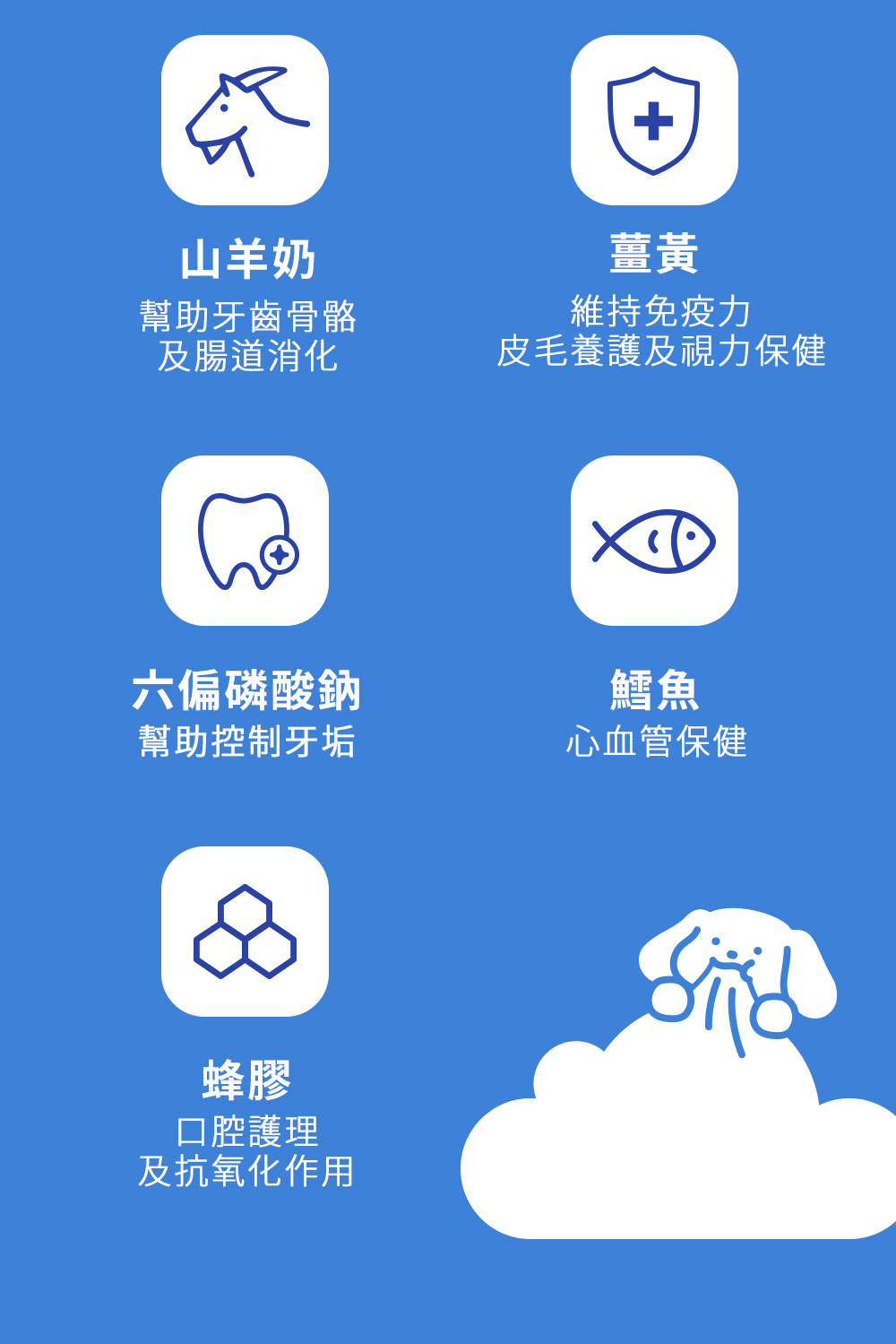 ＊出清優惠＊[Onnal]韓國爆款零食品牌 犬用潔牙餅乾-蟲蛋白(5gx20入/盒)**期限至2025/01/13** | 蝦皮購物