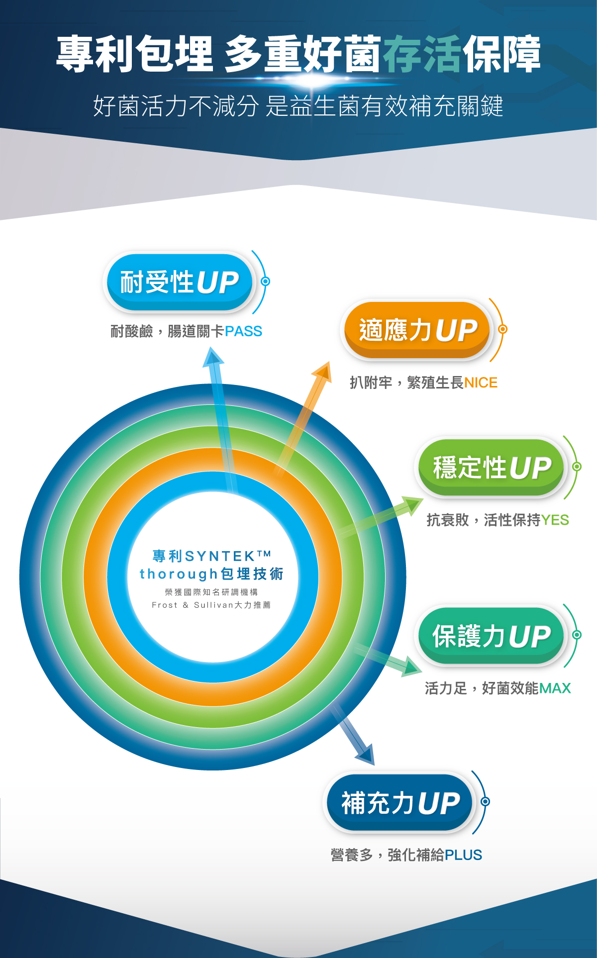 【木入森 MORESON】貓 貓咪 活菌寶 15包／30包｜益生菌 40億活菌+綜合酵素+膳食纖維+半乳寡糖 腸胃保健 | 蝦皮購物