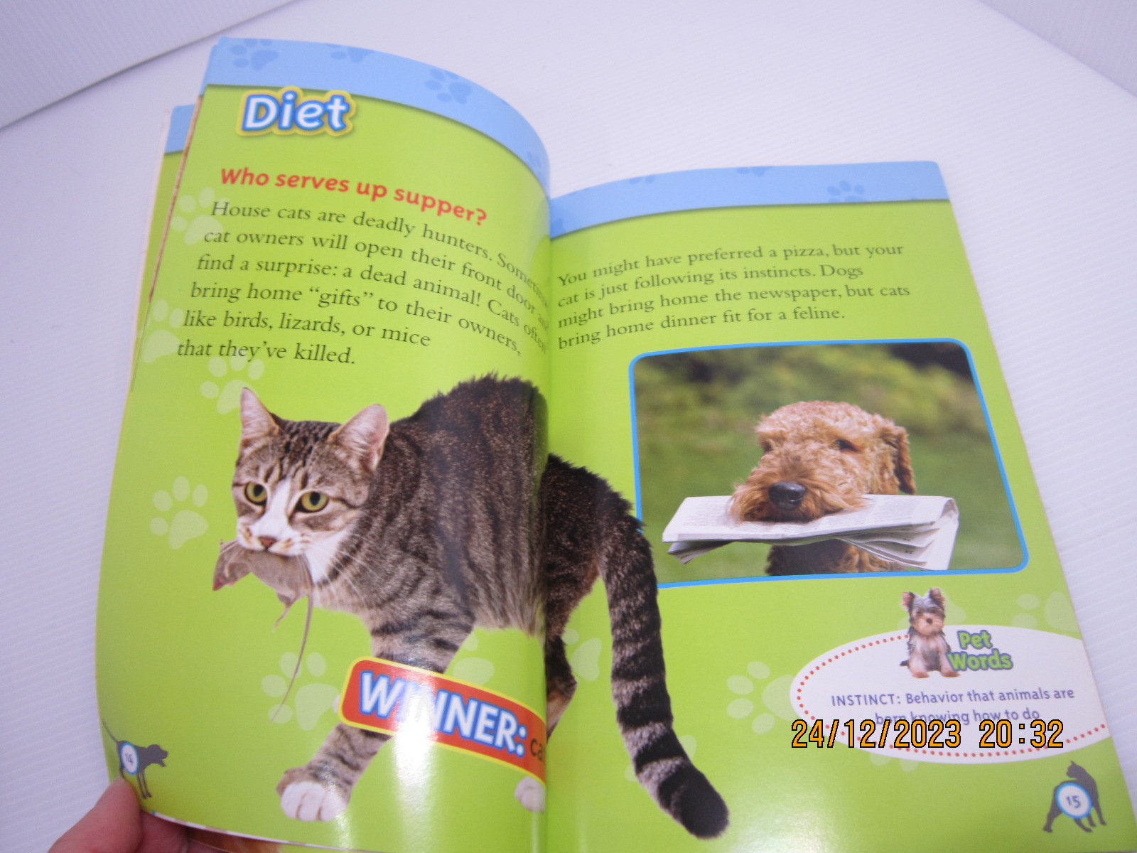 「二手書」 National Geographic Kids 3: Cats vs. Dogs 國家地理兒童讀本 | 蝦皮購物