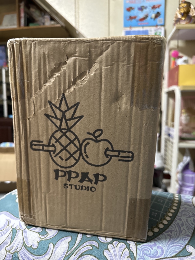 GK PPAP﹝精靈寶可夢﹞寶可夢小肥系列-小肥暴飛龍 | 蝦皮購物