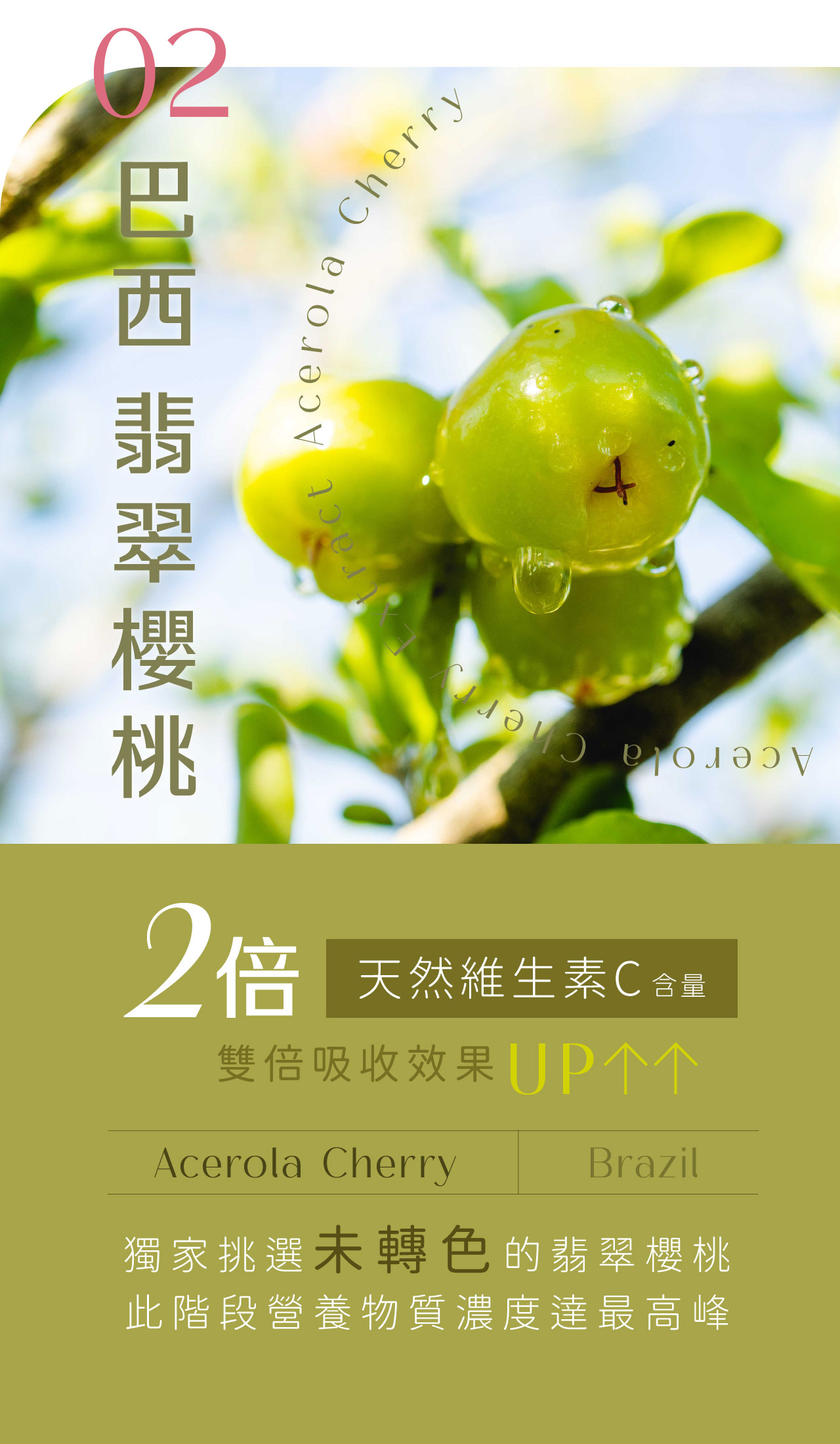 【BLUEMEI 布樂美】雙重櫻桃PLUS維C粉(咖啡漿果萃取添加)(1盒/2gX30包) | 蝦皮購物