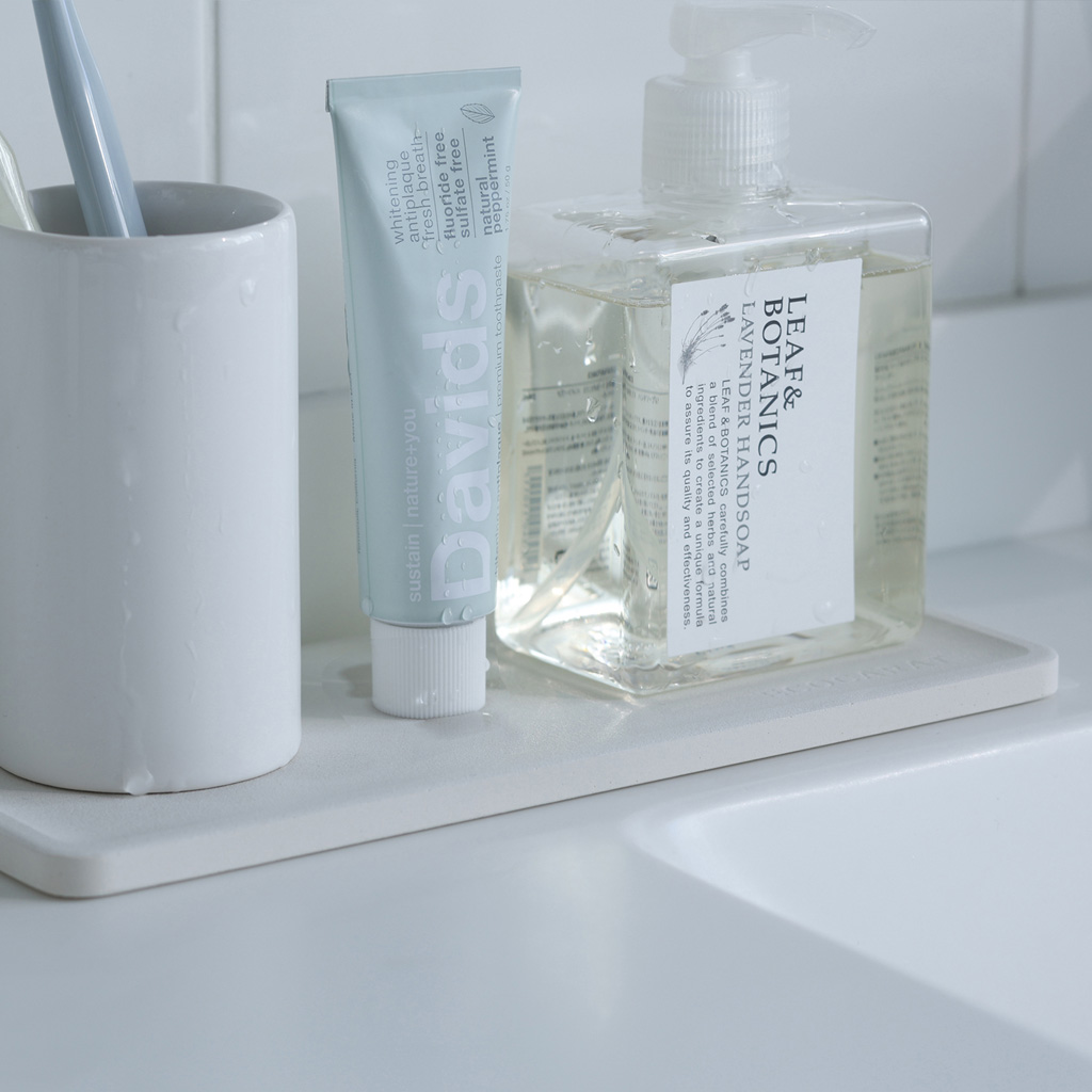 【預購】日本 MARNA ECOCARAT多孔陶瓷吸濕盤 | 蝦皮購物