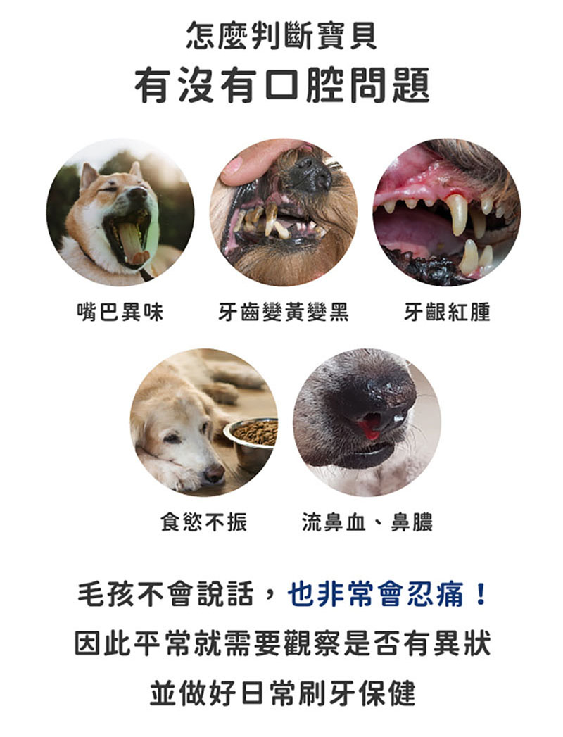 日本Q-NESS 口腔凝膠 [犬貓通用]寵物牙膏 | 蝦皮購物