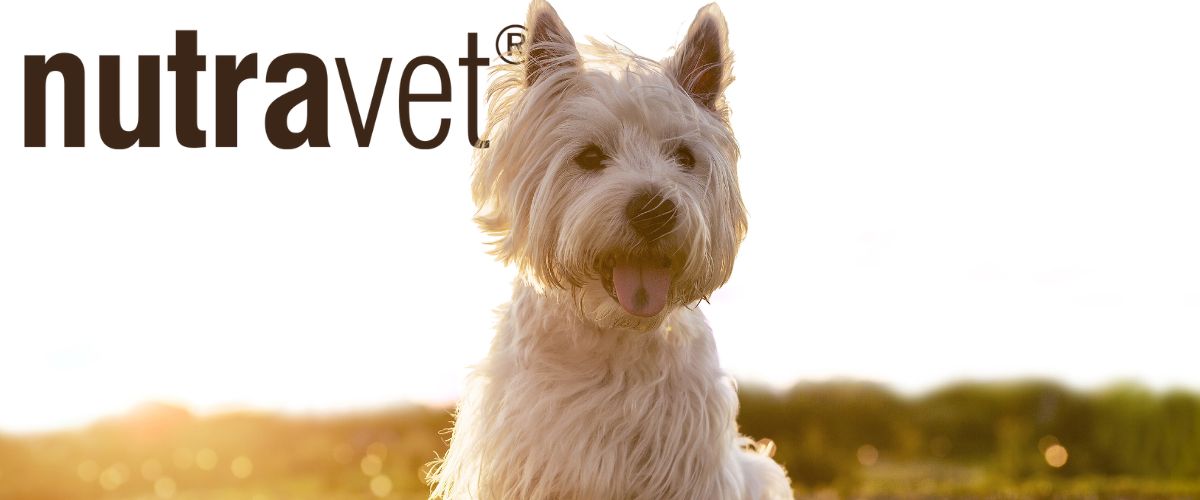 Nutracys®+樂寵 - 尿益通+ 犬貓專用情緒輔助 維持良好泌尿功能 寵物保健〈220顆/盒〉 【樂泓生物科技】 | 蝦皮購物
