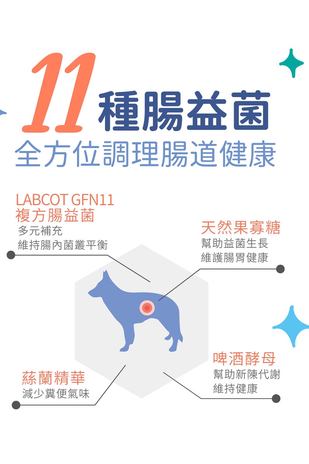 【興利】IN-PLUS 11合1綜合腸益菌-多元平衡配方280g/罐 狗狗專用 腸胃保健 狗腸道保健 犬腸胃益生菌 | 蝦皮購物