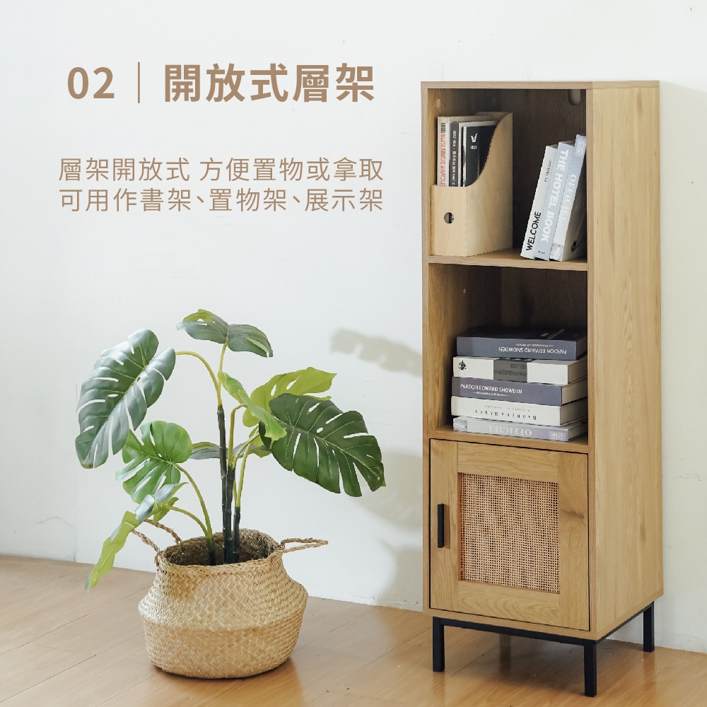 RICHOME 福利品 BO-405 布萊恩單門書櫃 收納櫃 置物櫃 書櫃 展示 電視櫃 玄關櫃 邊櫃 門櫃 藤編 | 蝦皮購物