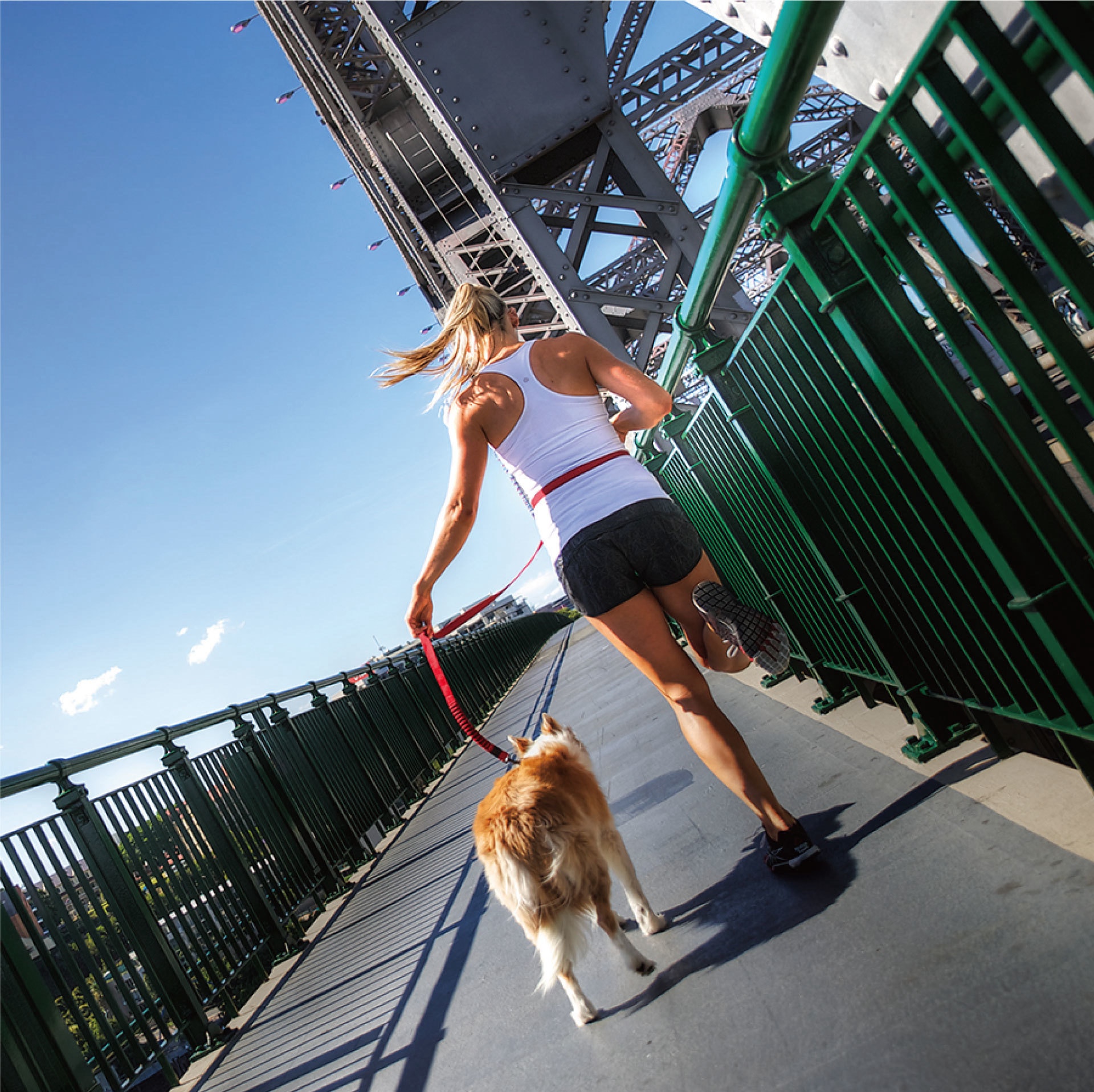 EZYDOG 跑步牽繩（不含胸背帶）減緩50%拉扯力 夜間反光設計 可掛拾便帶 肩背繫腰免手牽 寵物牽繩 | 蝦皮購物