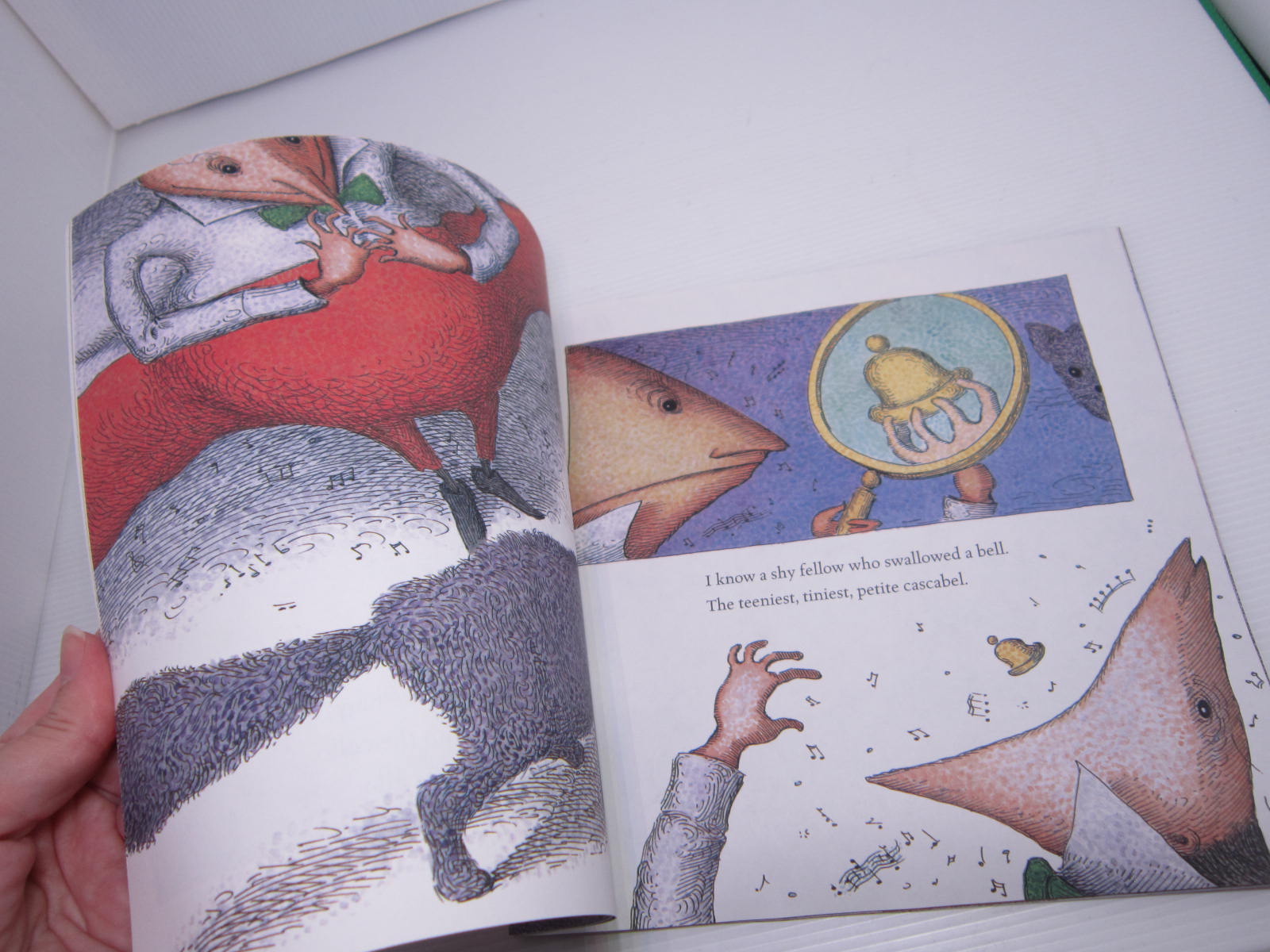 「二手書」Scholastic I Know a Shy Fellow Who Swallowed a Cello 英文 | 蝦皮購物