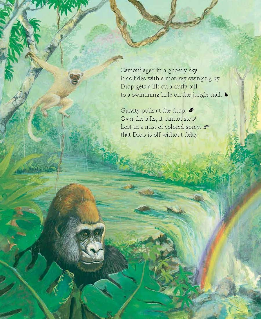 現貨🍀平裝英文科普繪本🍀A Drop Around The World🍀一滴水的生命週期（水循環）🍀缺書店 | 蝦皮購物