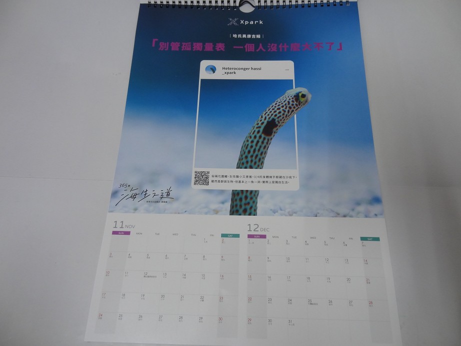 Xpark 2024年月曆 台灣橫濱八景島 365種海生之道 水族館 月曆 大王巨足蟲 水母 國王企鵝【領券免運】 | 蝦皮購物