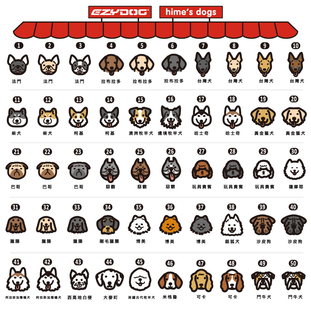 【澳洲EzyDog】終極 胸背帶 XXS~XXL(送客製化側貼2片)2秒穿戴 不傷氣管 輕量透氣 夜間安全 防曬涼感 | 蝦皮購物