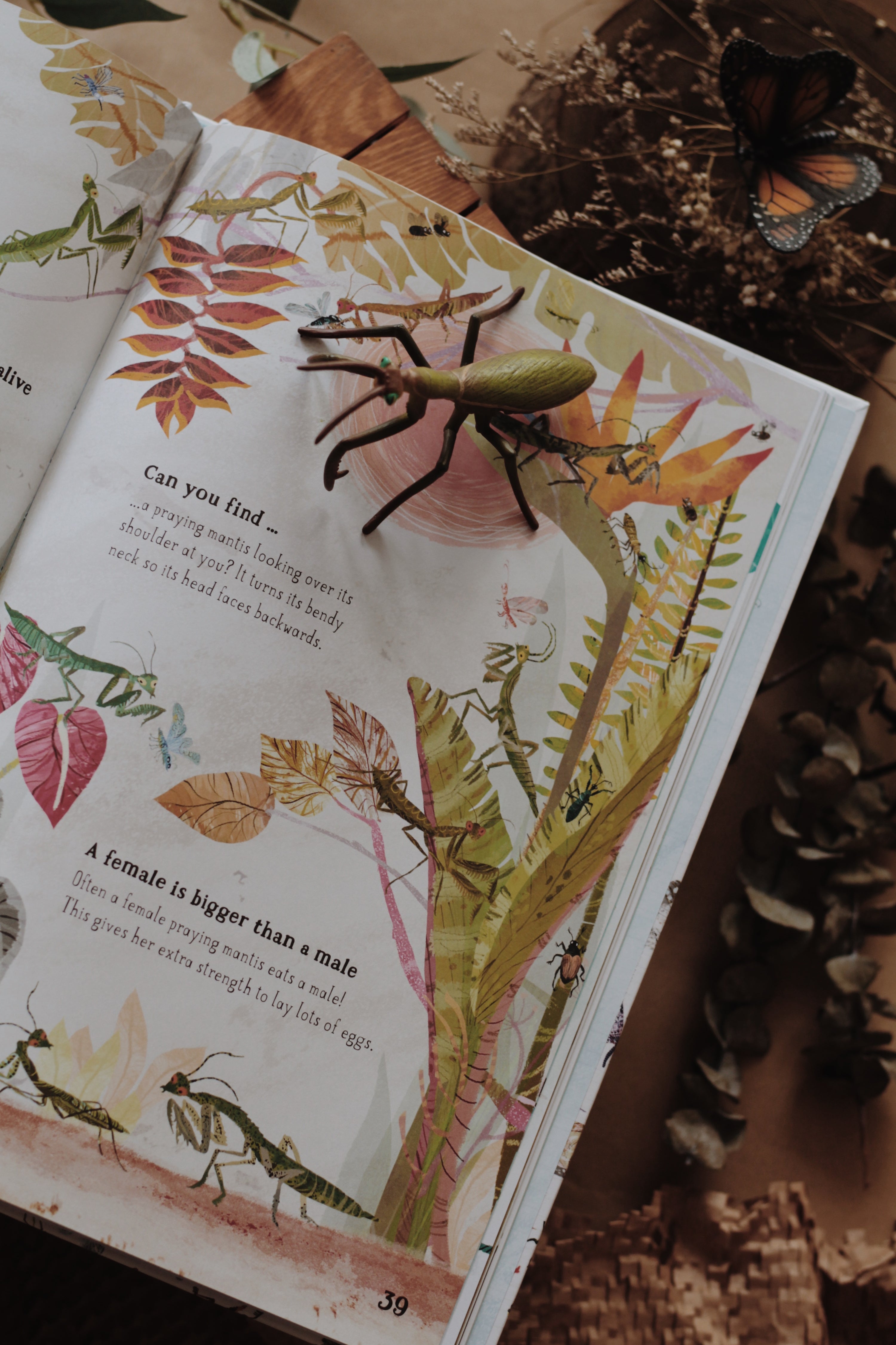 現貨🍀精裝英文知識科普繪本The Big Book of Bugs蟲蟲大書 🍀插畫家Yuval Zommer🍀缺書店 | 蝦皮購物