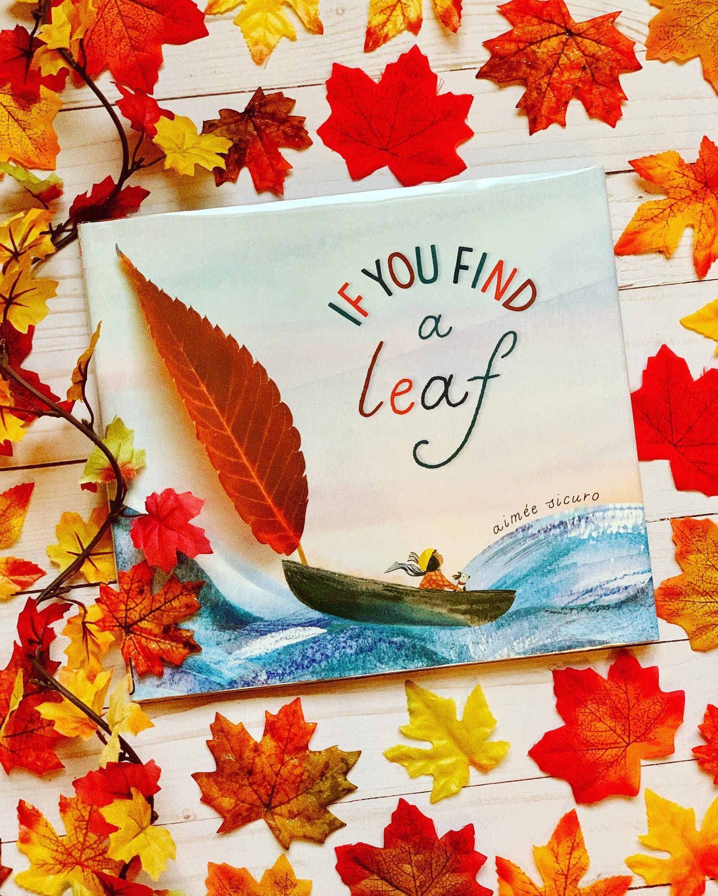 現貨🍀精裝英文繪本🍀If You Find a Leaf 🍀 Aimee Sicuro用真實的樹葉創作創意的插圖🍀缺書店 | 蝦皮購物