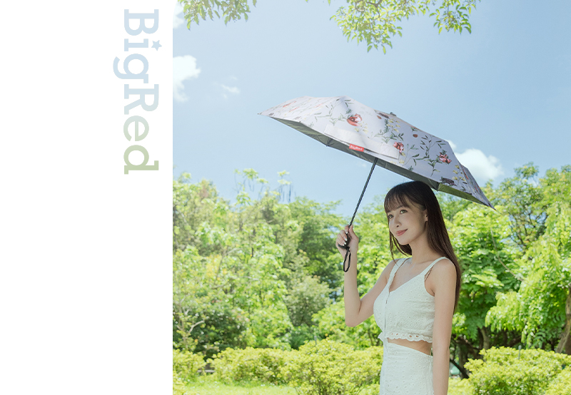 雨傘王 官方直營 BigRed 極輕輕-奇幻漫遊系列 21吋自動折傘 降溫12度 終身免費維修 209g 黑膠 防曬 | 蝦皮購物