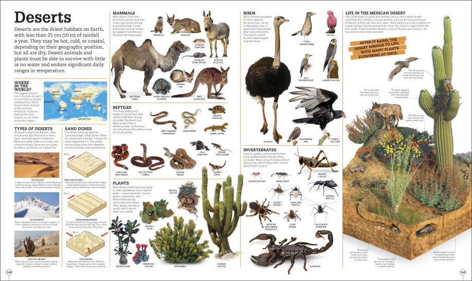 DK Picturepedia An Encyclopedia on Every Page【全方位圖解百科 增修版】 | 蝦皮購物