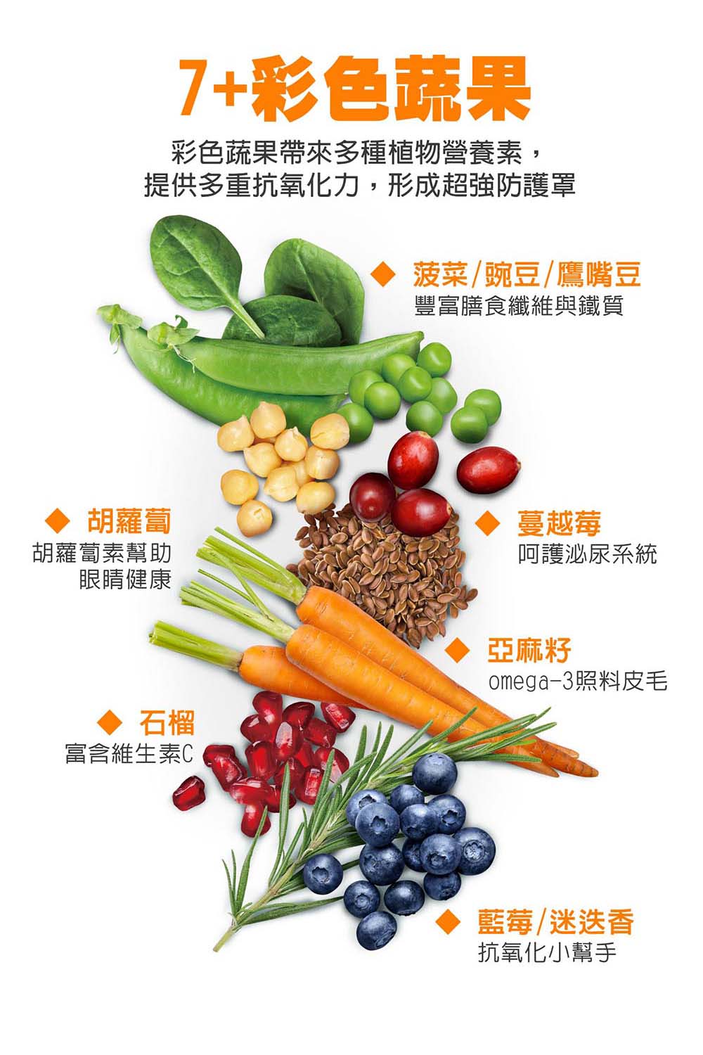 SOLUTION耐吉斯 E11優腎火雞餐-熟齡貓低磷配方 寵物飼料 老貓飼料 高齡貓飼料 熟齡貓飼料 貓糧 | 蝦皮購物