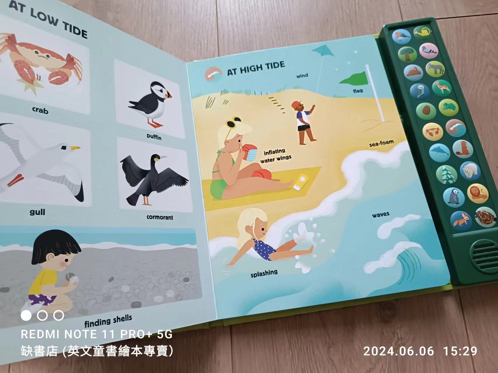 英文硬頁大自然音效按鍵書🍀My Big Book of Nature Sounds🍀100種聲音和英文單字🍀缺書店 | 蝦皮購物