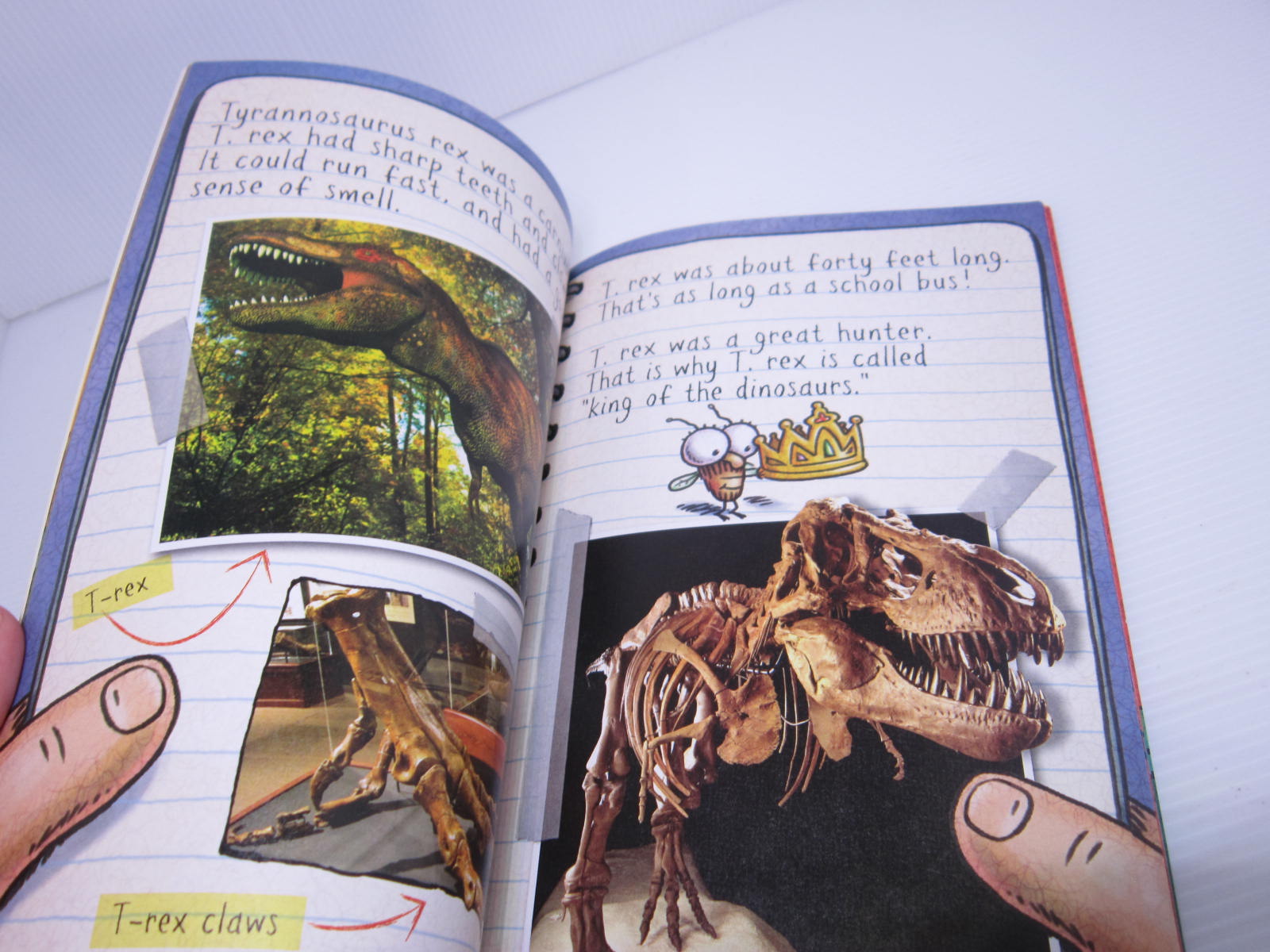「二手書」Scholastic Fly Guy Presents Dinosaurs 英文讀本 Tedd Arnold | 蝦皮購物