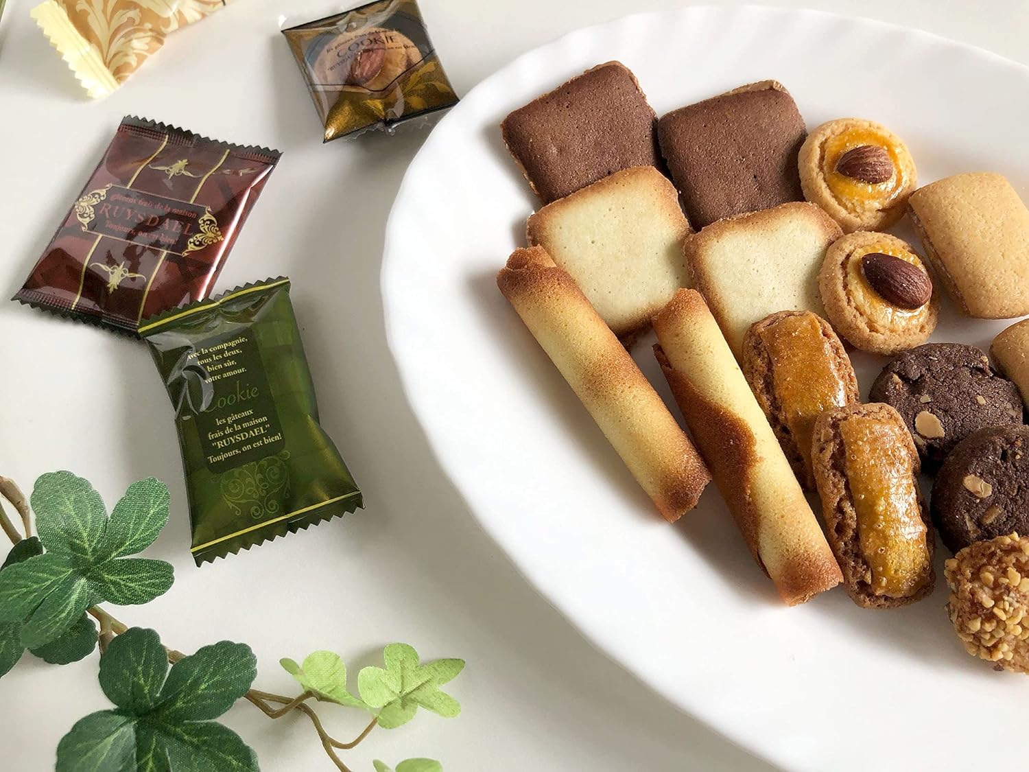日本 RUYSDAEL 綜合巧克力餅乾 (8種42個入) 送禮 新年 禮盒 西點老舖 零食 必買伴手禮 熱銷 旅日生活家 | 蝦皮購物