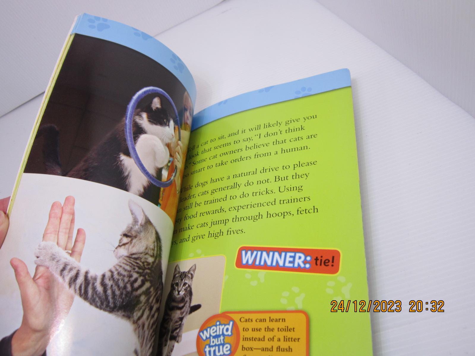 「二手書」 National Geographic Kids 3: Cats vs. Dogs 國家地理兒童讀本 | 蝦皮購物