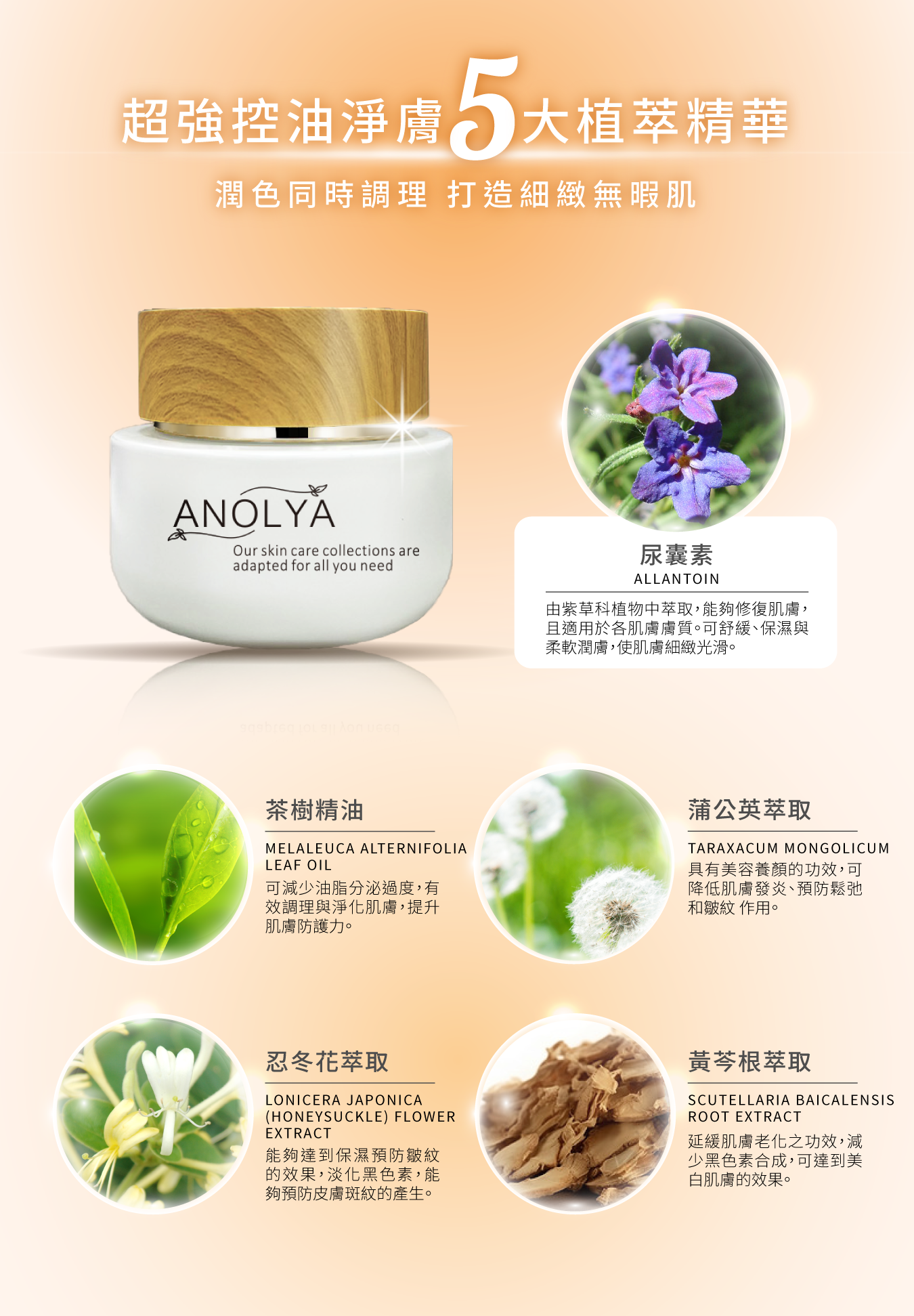 Anolya安諾萊雅皮脂煥膚修護凝膠(茶樹&蘑菇)50ml/250ml | 蝦皮購物