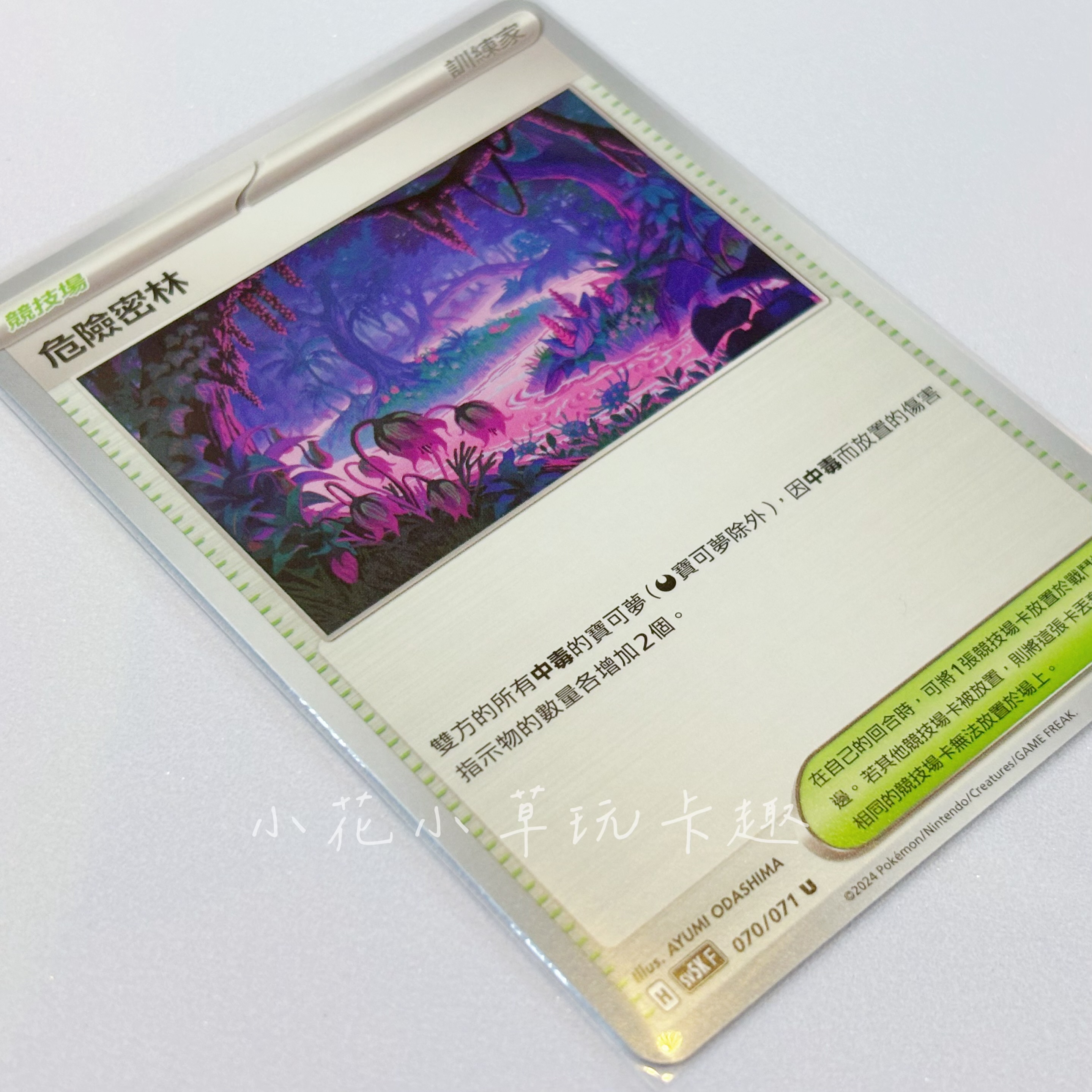 *小花小草* 危險密林 中文版 sv5K PTCG 寶可夢 070/071 狂野之力 | 蝦皮購物