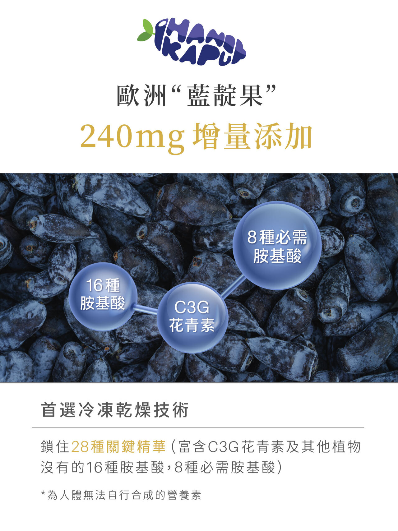 【BLUEMEI 布樂美】北歐藍靛果金盞花葉黃素複方(1盒/60粒/瓶) | 蝦皮購物