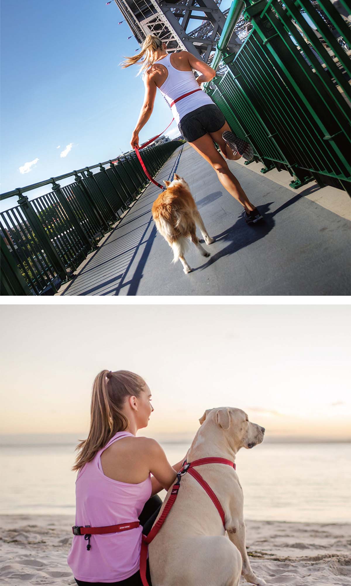 【短尾巴】 EZYDOG 跑步牽繩210cm(丹寧) 寵物牽繩 狗狗牽繩 犬用牽繩 丹寧牽繩 零拉力牽繩 牽繩 狗牽繩 | 蝦皮購物