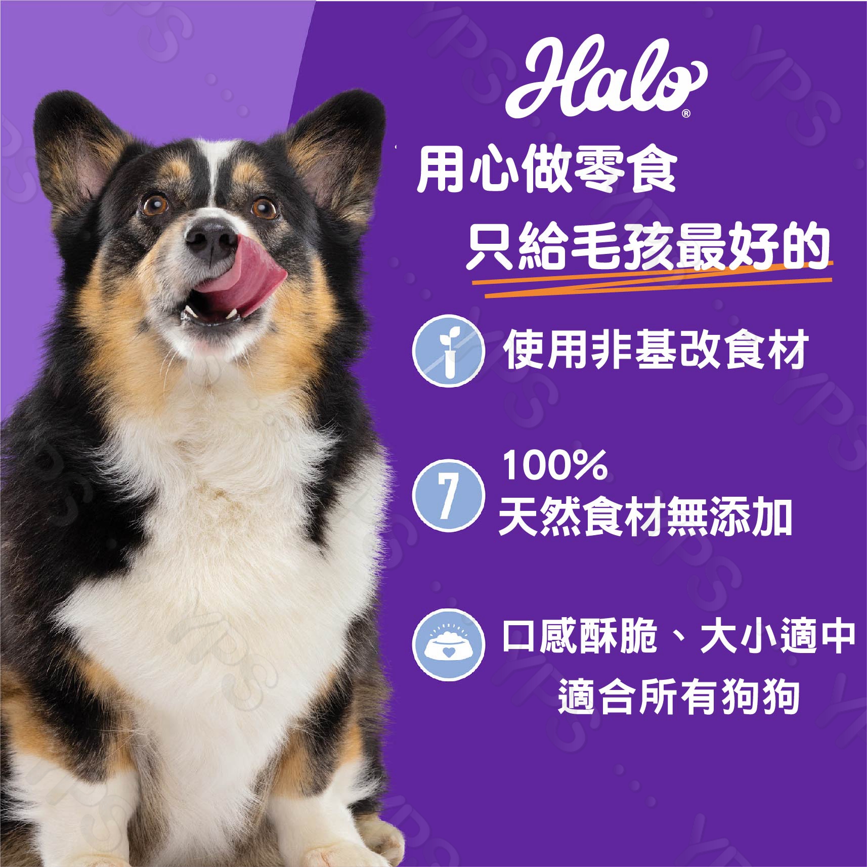 HALO 嘿囉 低敏舒膚 藍莓燕麥/藍莓燕麥/香蕉花生 酥餅 226g 酥餅 狗餅乾 犬用零食 3種口味 | 蝦皮購物