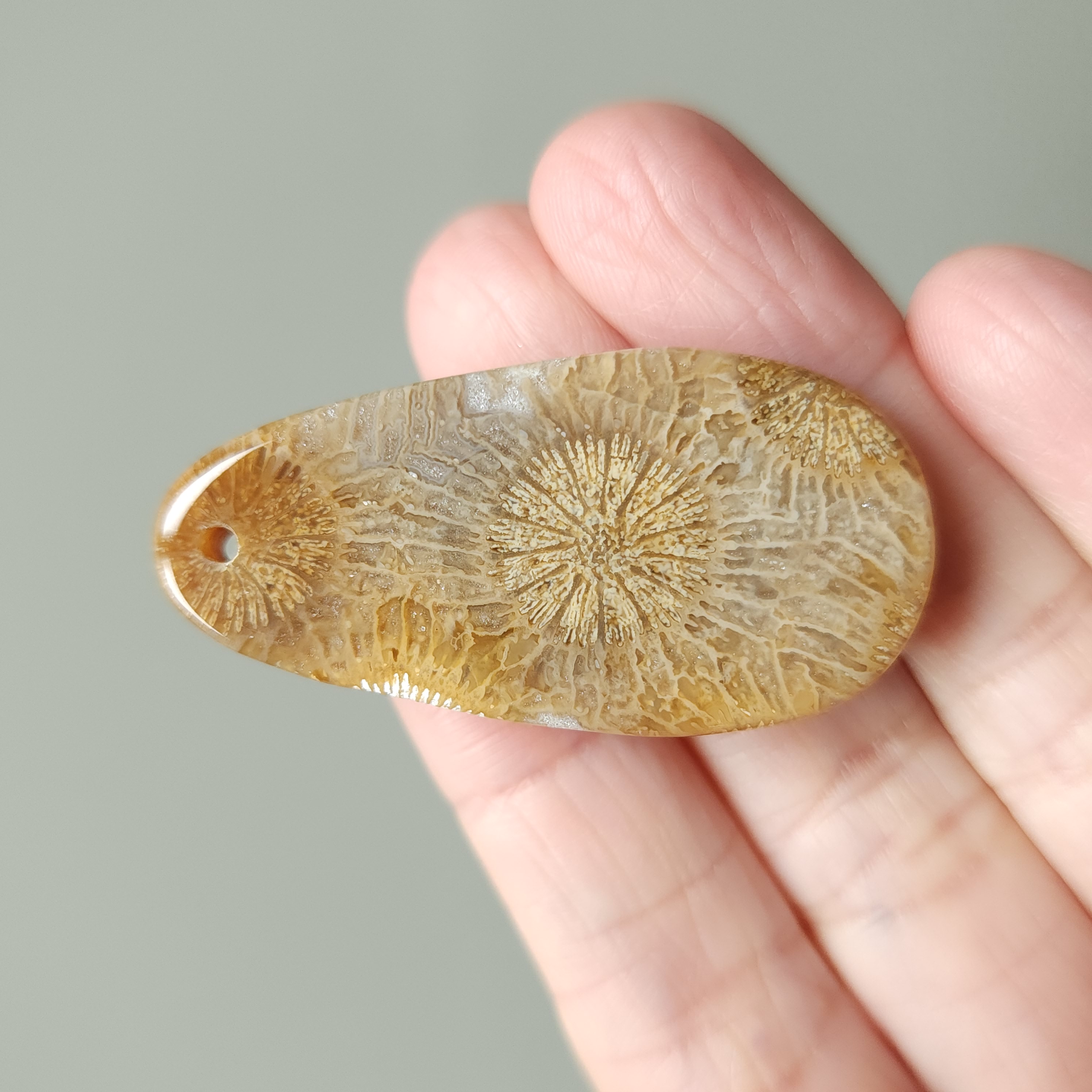 【天然石】珊瑚玉 Fossilized Coral 水滴形吊墜 C20971 | 蝦皮購物