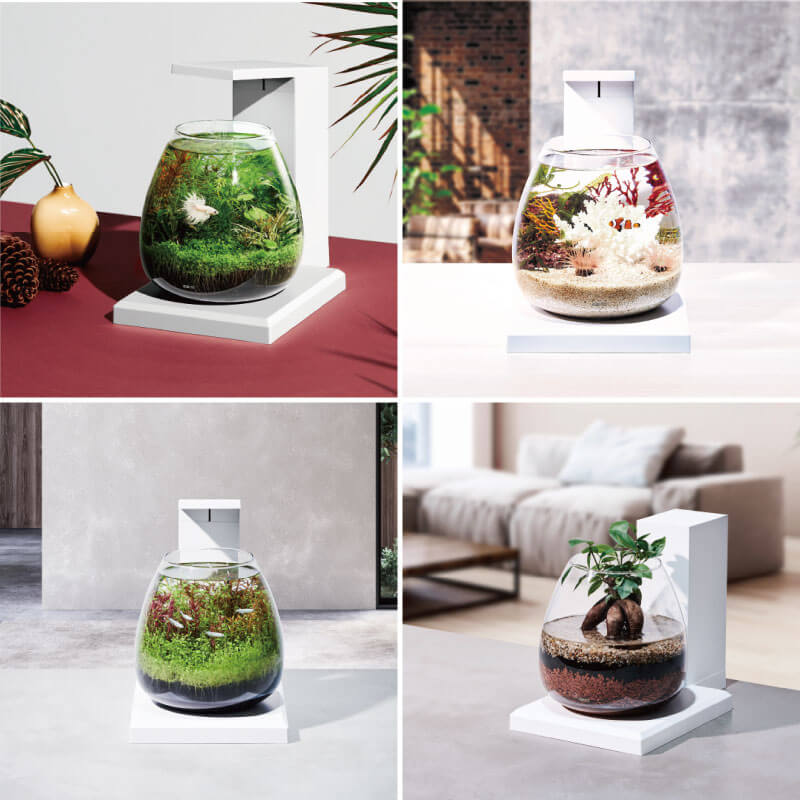 P老闆水族~GEX 五味 智能景觀生態缸 PERCO(不含安定器) 鬥魚缸，生態缸，小型魚缸，水草 | 蝦皮購物