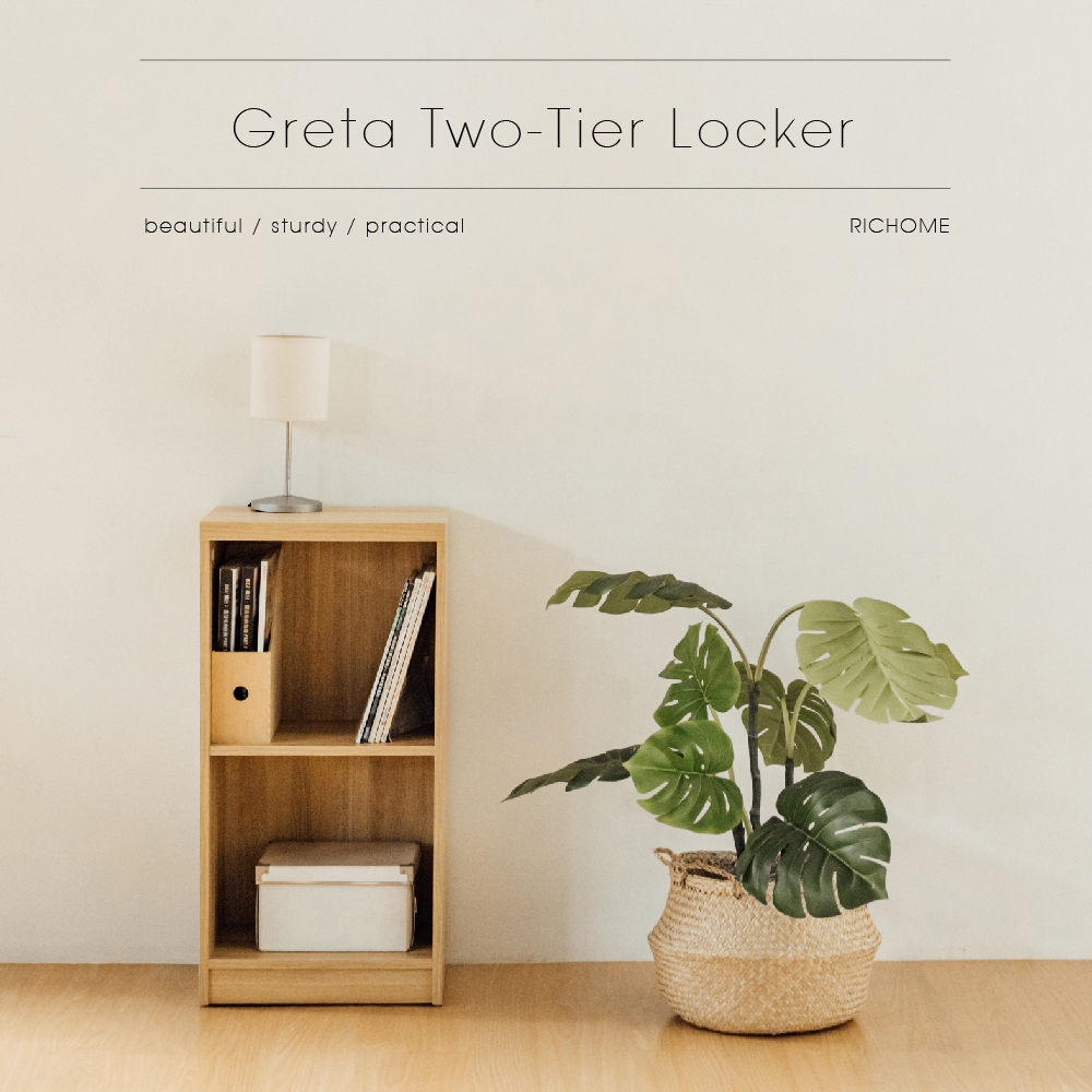 RICHOME 福利品 BO-388 格麗塔兩層置物櫃 E1板 防潑水 置物櫃 收納櫃 書櫃 層櫃 2空櫃 展示櫃 玄關 | 蝦皮購物